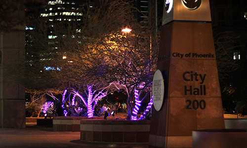 Paint Phoenix Purple raises awareness of domestic violence with purple ...
